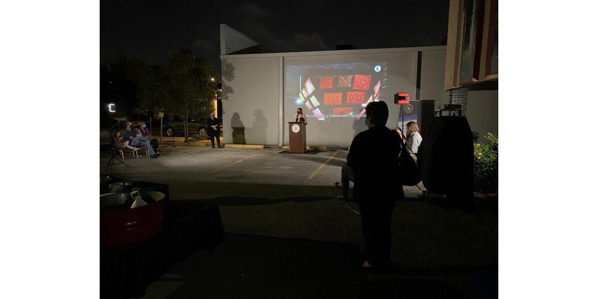 Nela Garzon Exhibition @ Institute of Hispanic Culture of Houston...