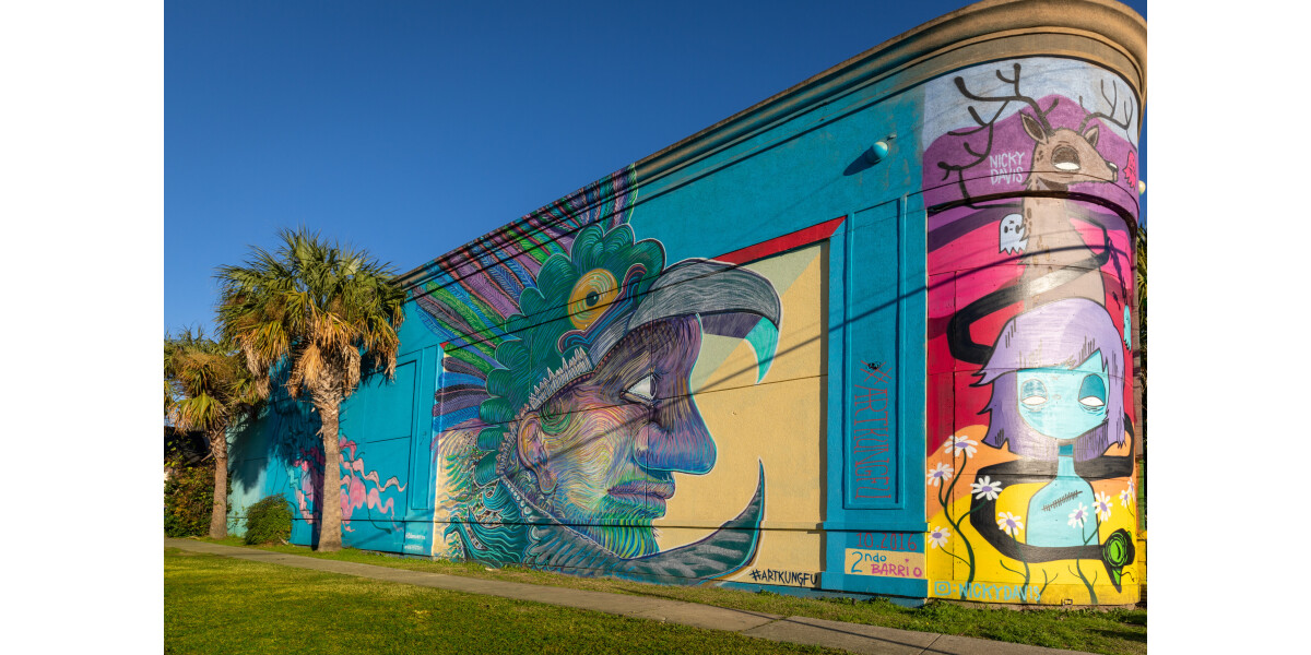 Guardia del Segundo Barrio - El Indio @ Emmanuel Street | wall